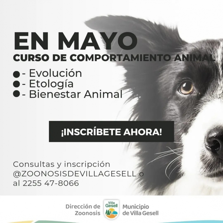 SE BRINDARÁ CURSOS DE EVOLUCIÓN, ETOLOGÍA Y BIENESTAR ANIMAL :: Gesell ...